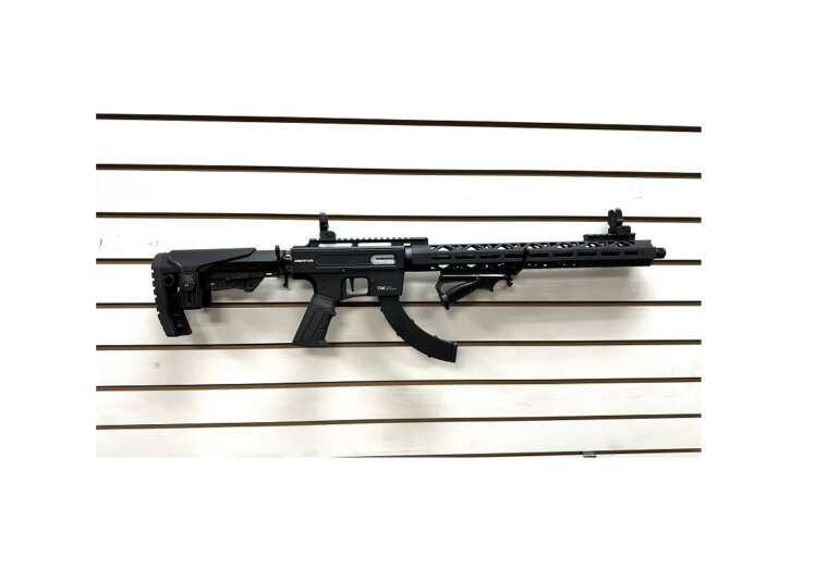 RIFLE DERYA TM22-A-18 TACTICO CALIBRE .22LR – Armsa Guatemala